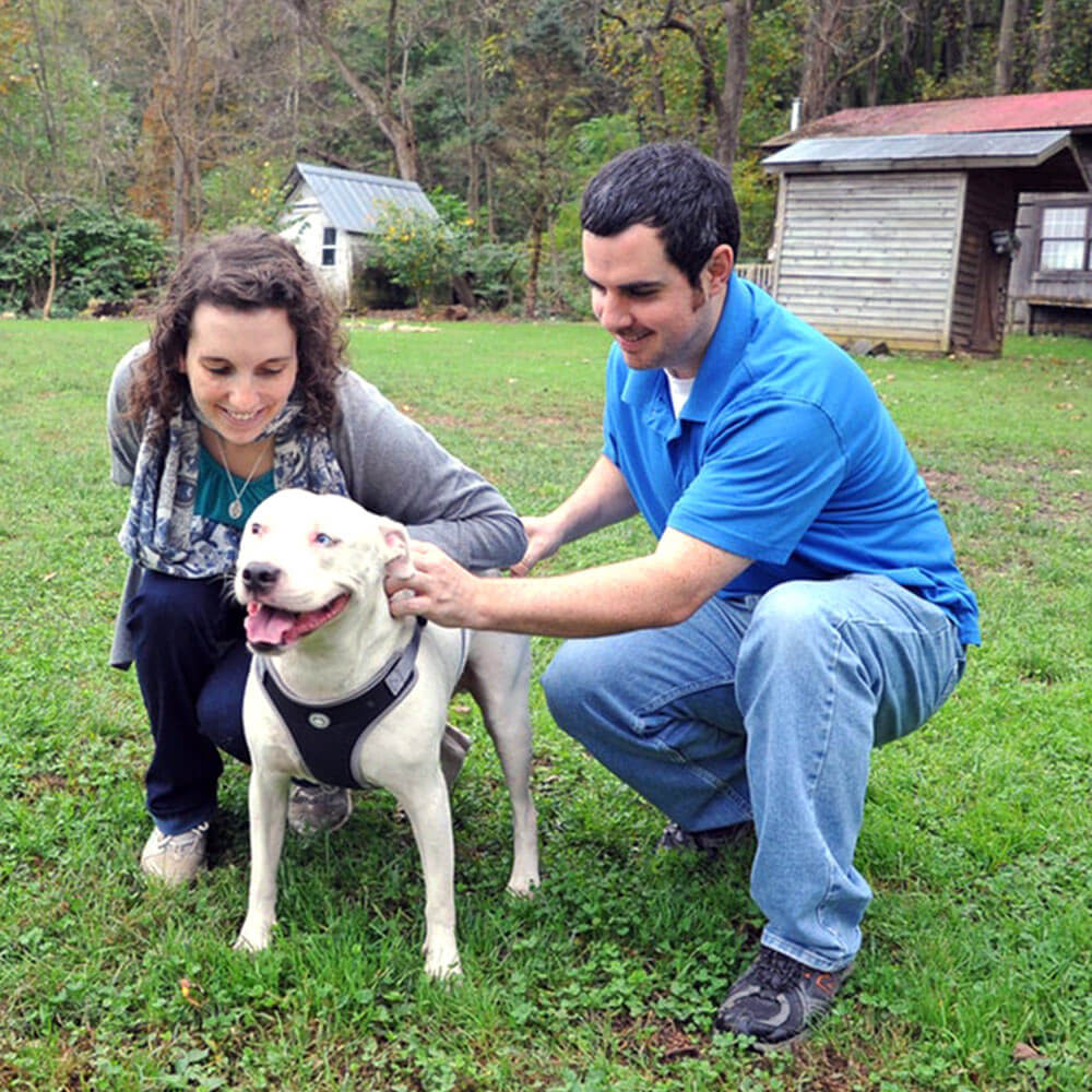 Pet Care Services - Drop In Visits & House Sitting